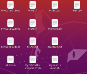 Wildcards in Linux explained with 10 examples | FOSS Linux