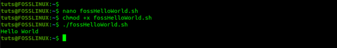 Bash Scripting Tutorial for Beginners | FOSS Linux