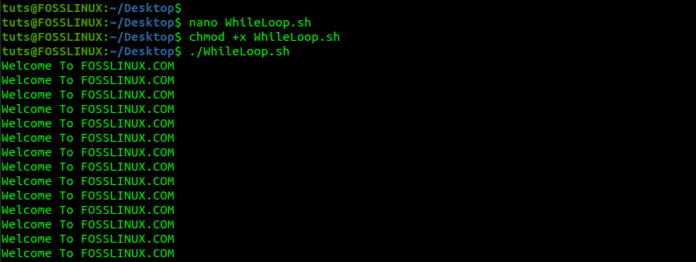 Bash Scripting Tutorial for Beginners | FOSS Linux