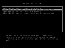 A Comprehensive Guide to Fixing Boot Problems in Linux Mint