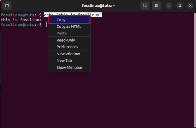 How to copy and paste commands in Linux Terminal | FOSSLinux