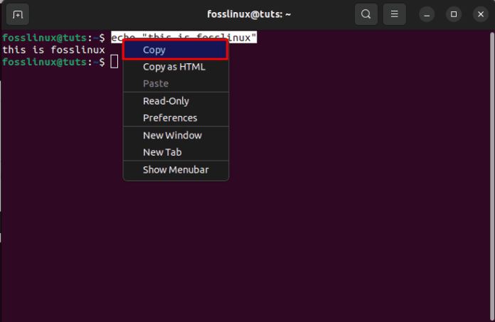 How to copy and paste commands in Linux Terminal | FOSSLinux