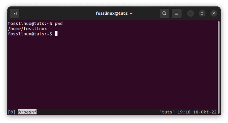 How to change colors in Tmux | FOSS Linux