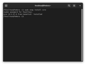 How to install Discord on Fedora | FOSS Linux