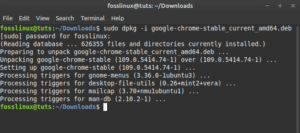 How to install Google Chrome on Linux Mint | FOSS Linux