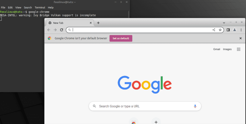 How to install Google Chrome on Linux Mint | FOSS Linux