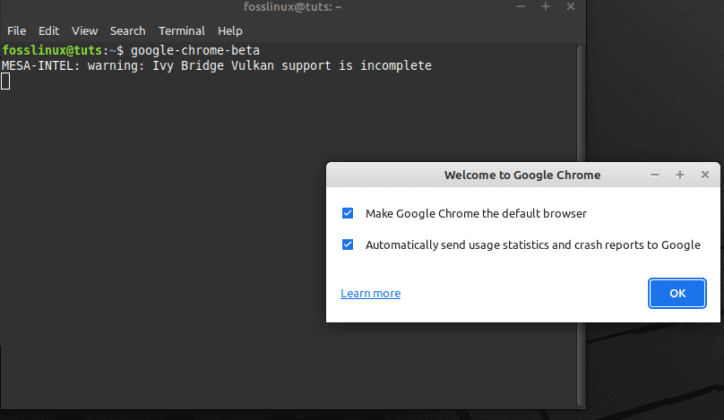 How to install Google Chrome on Linux Mint | FOSS Linux