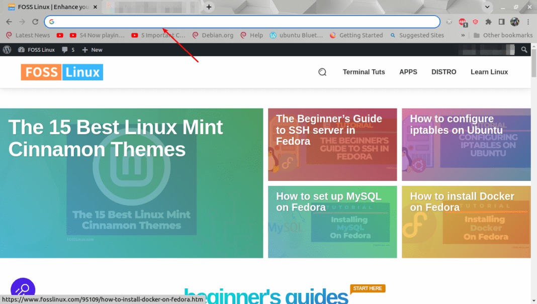 How to install Google Chrome on Linux Mint | FOSS Linux