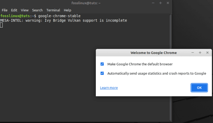 How to install Google Chrome on Linux Mint | FOSS Linux