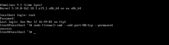 Test Driving AlmaLinux 9 Minimal: A Hands-On Review