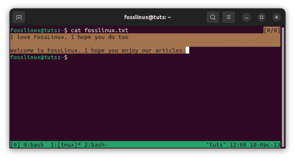 Tmux Copy-Paste Mode: Tips and Tricks for Productivity