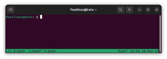 Quick and Efficient Tmux Session and Window Switching