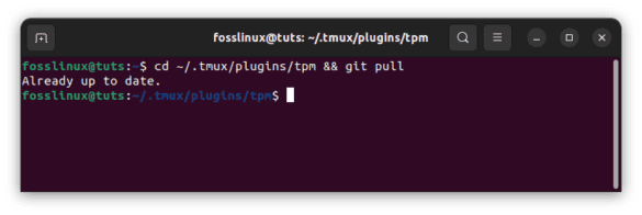 Managing Tmux Plugins with Tmux Plugin Manager | FOSS Linux