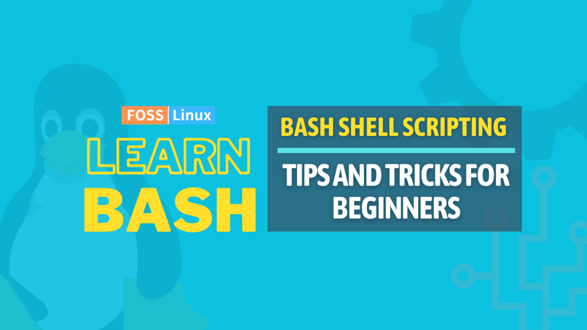Bash Shell Scripting 10 Must Know Tips For Beginners