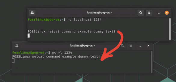 Bash Networking Tools: 15 Essentials for Troubleshooting