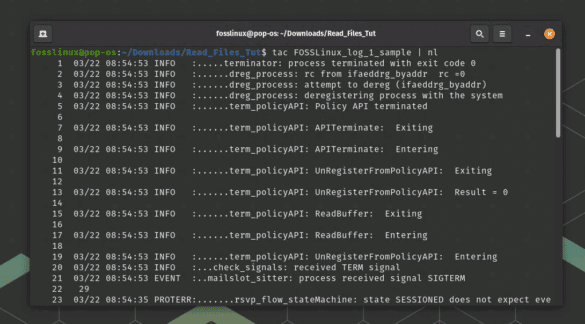 6 Linux Commands to View File Content Like a Pro