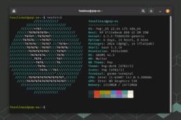 Beyond Serious Work: 15 Fun Activities on Linux Terminal