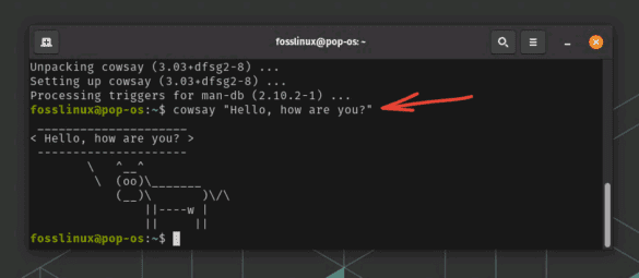 Beyond Serious Work: 15 Fun Activities on Linux Terminal