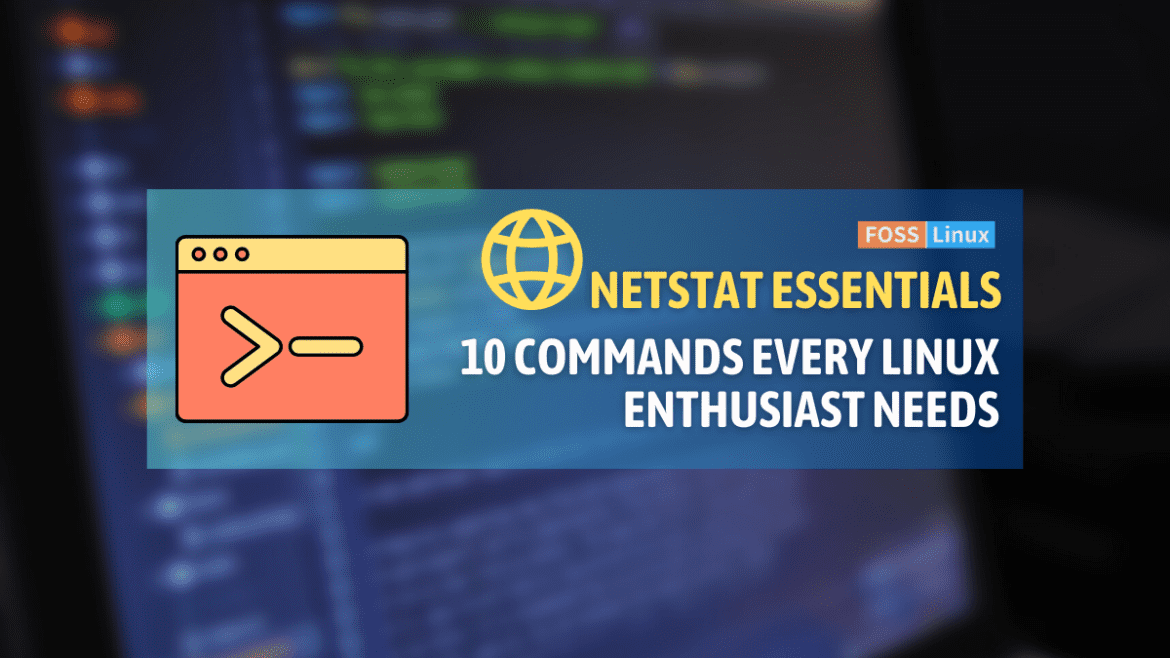 Top 10 Netstat Linux Commands For Networking Needs