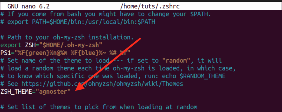 Guide to Installing and Customizing Oh My Zsh on Ubuntu