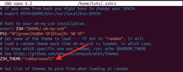 Guide to Installing and Customizing Oh My Zsh on Ubuntu