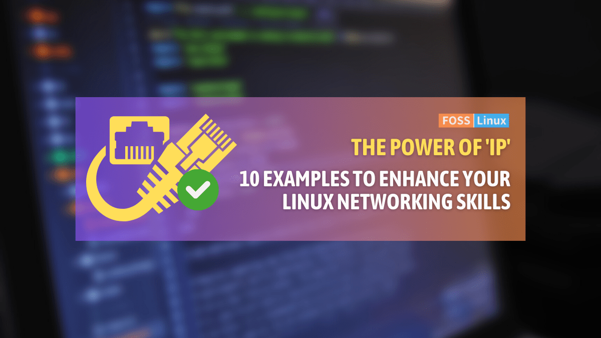 Mastering The Ip Command In Linux 10 Essential Examples