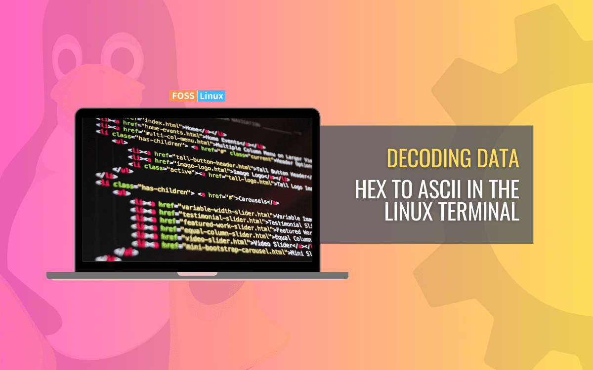 How to Easily Convert Hex to ASCII in Linux Terminal How to Easily Convert Hex to ASCII in Linux Terminal